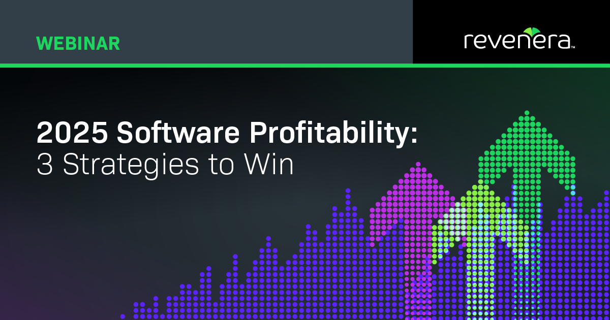 2025 Software Profitability: 3 Strategies to Win