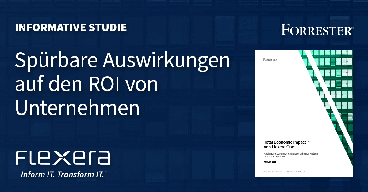 The Total Economic Impact von Flexera One | Flexera-Bericht