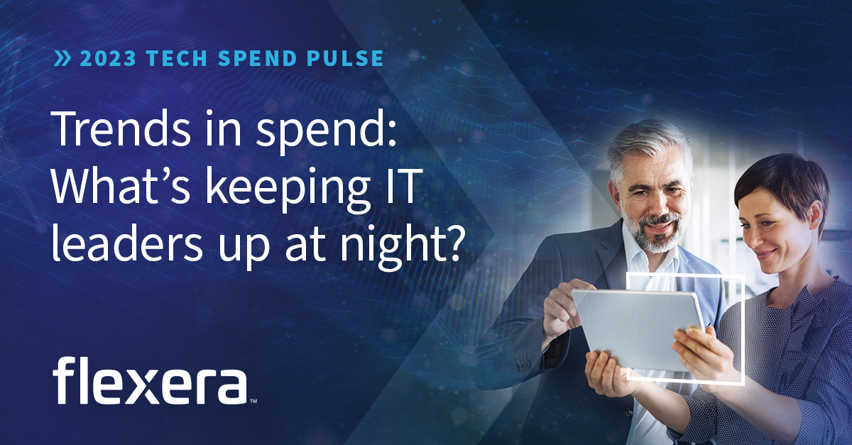Flexera 2023 Tech Spend Pulse | Report