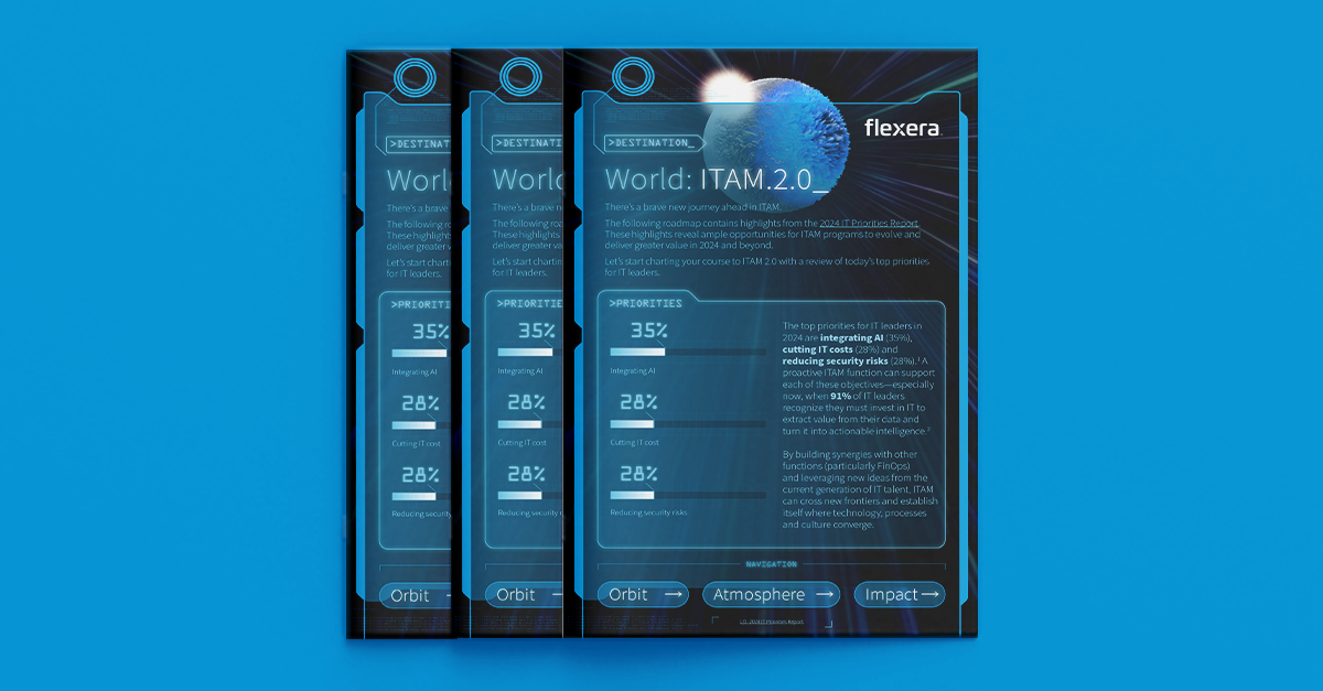 The 2024 ITAM Roadmap | Flexera
